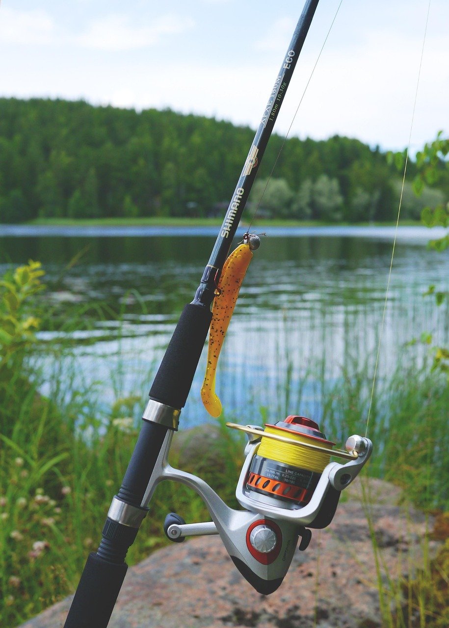 Essential Fishing Gear Basics: Rods, Reels, and Tackle Made Simple
